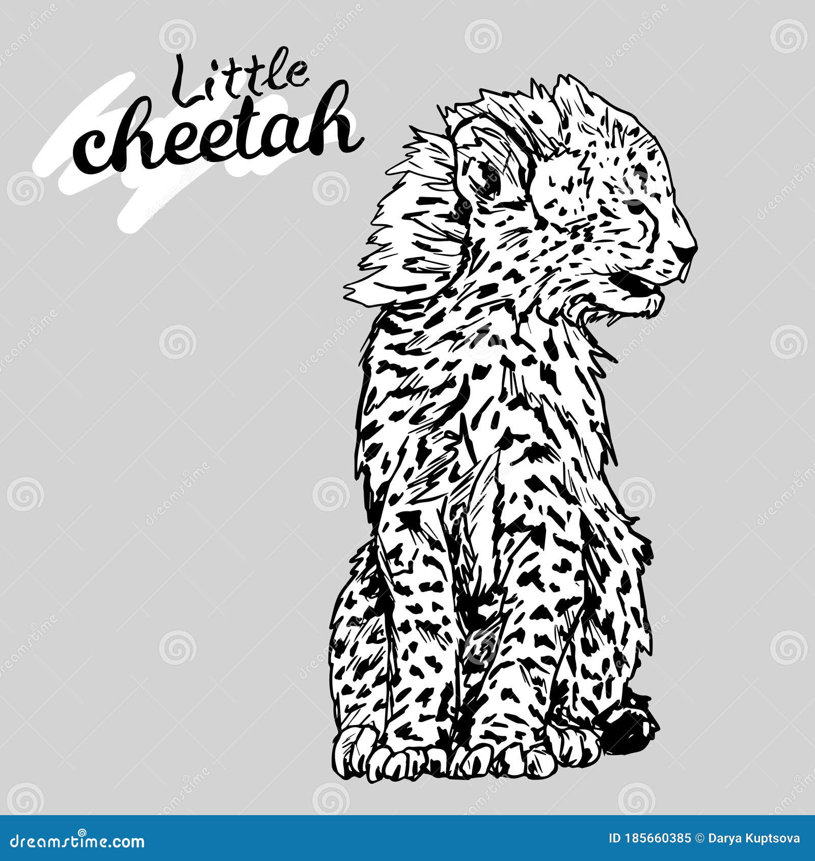 Little Cheetah Sitting Graphic Vector Stock Vector - Illustration of ...