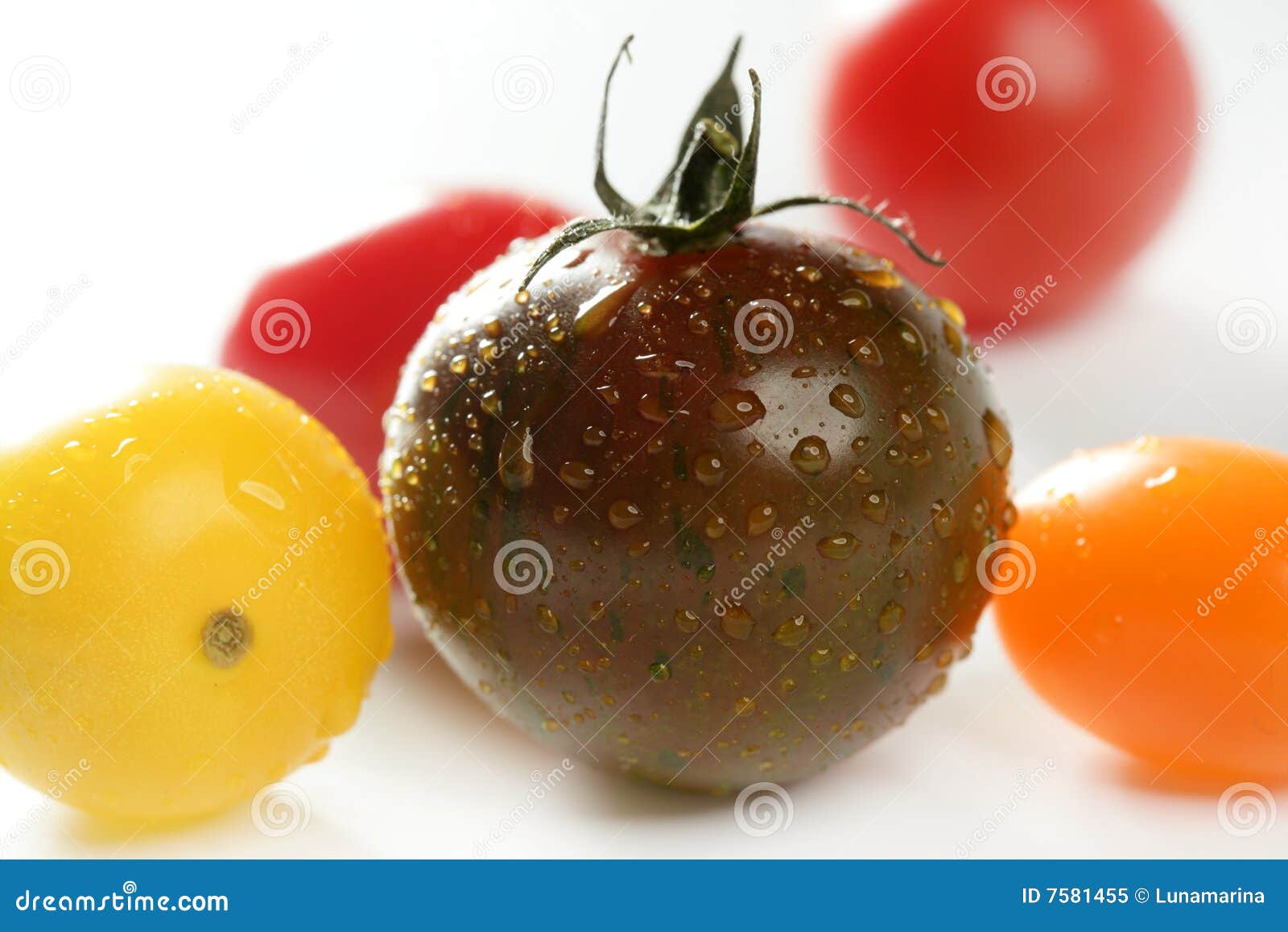 Little Cherry Varied Multi Color Tomatoes Stock Photos - Free & Royalty ...