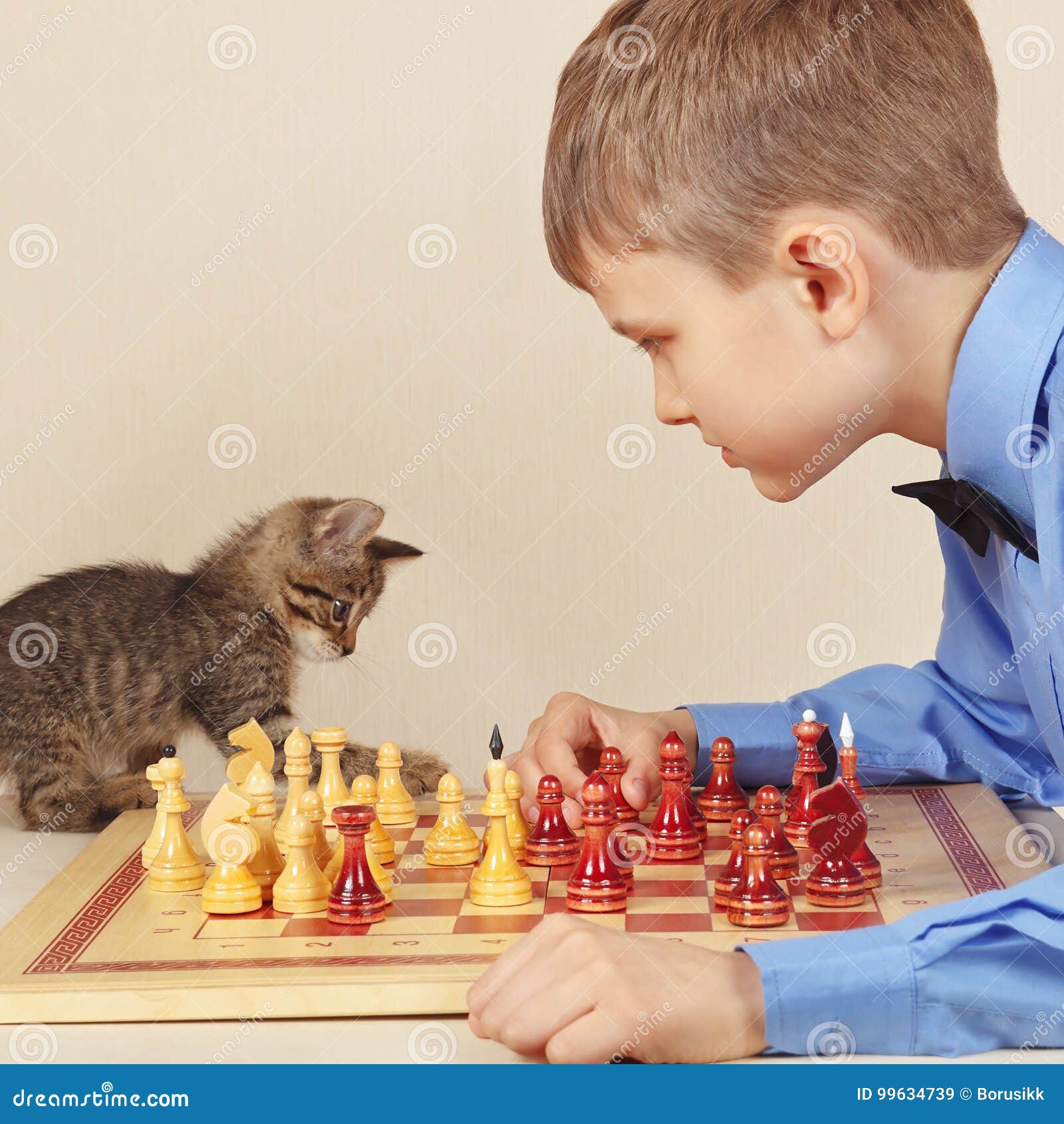 Little Chessplayer with Kitten Plays Chess. Stock Image - Image of claw ...