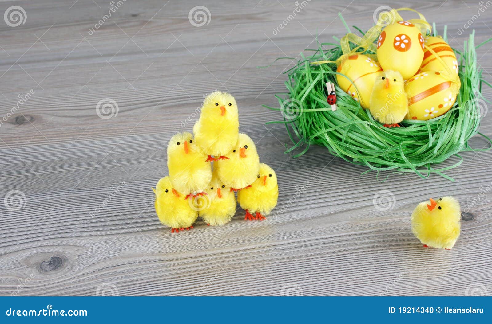 Little Chicken and Easter Eggs Stock Photo - Image of april, live: 19214340