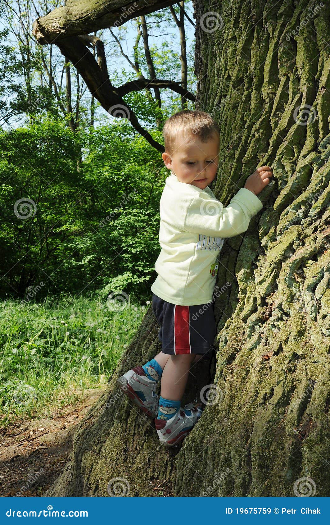 Little Child Climbing Big Tree Royalty Free Stock Images - Image: 19675759
