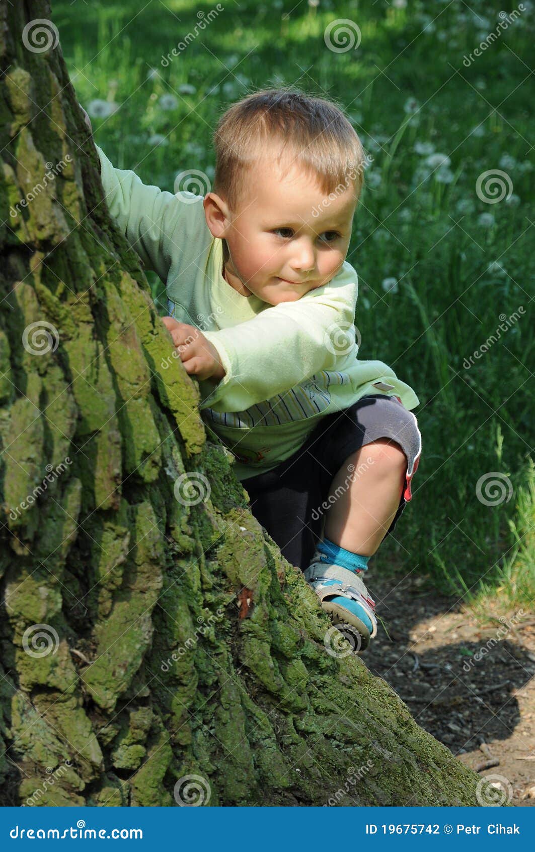 Little child climbing tree stock photo. Image of cortex - 19675742