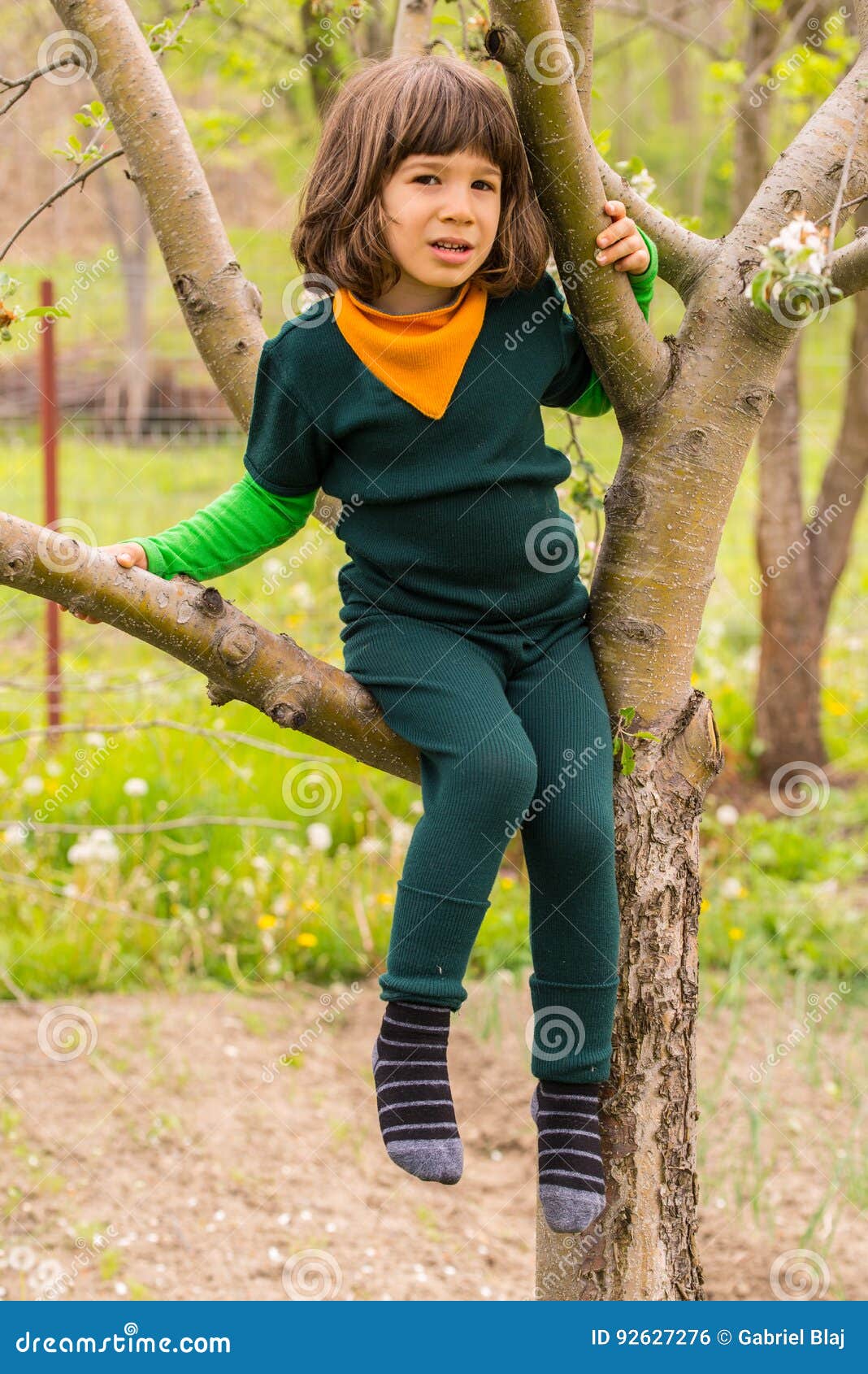 Little Child Climbing in the Tree Stock Photo - Image of playing ...
