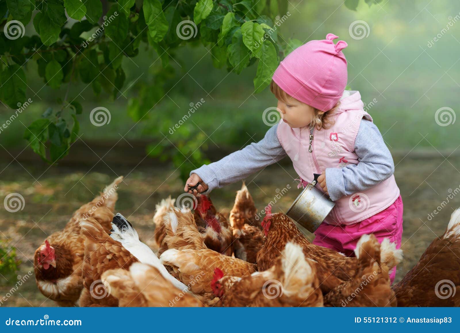 Little Child Enjoying Feeding Chicken Stock Photo - Image of bird ...