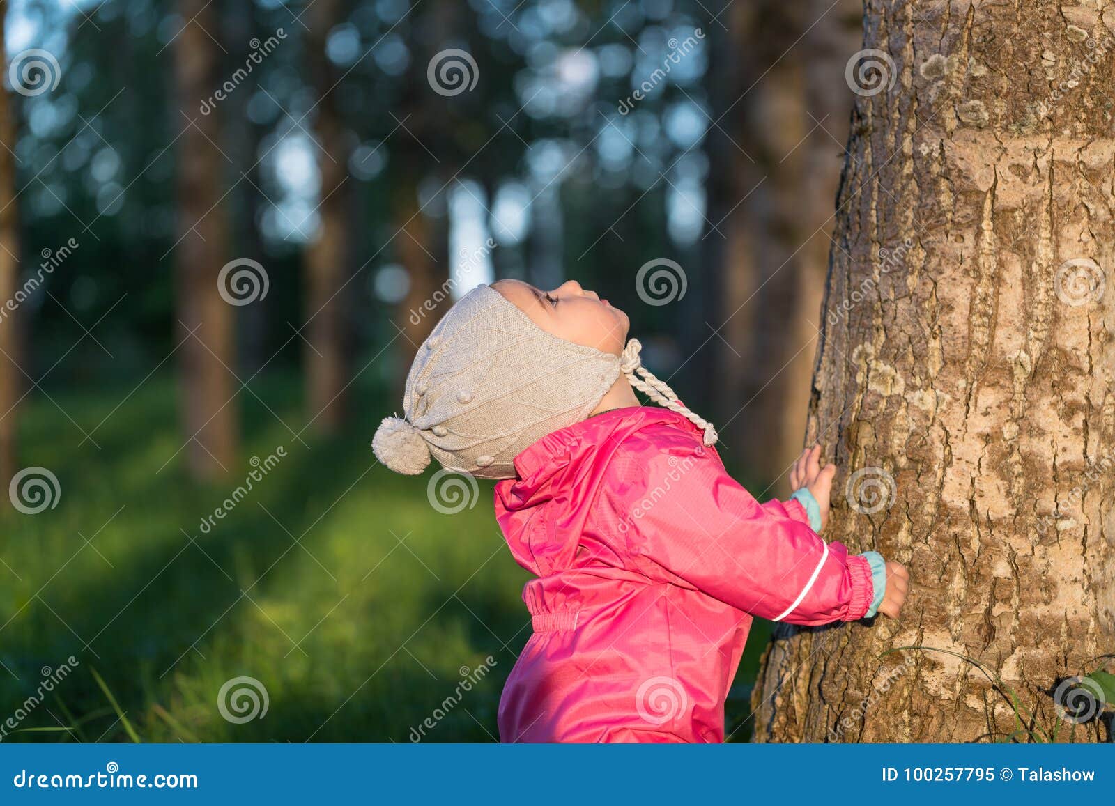 Little Child Looks Up at Tree. Stock Image - Image of activities ...