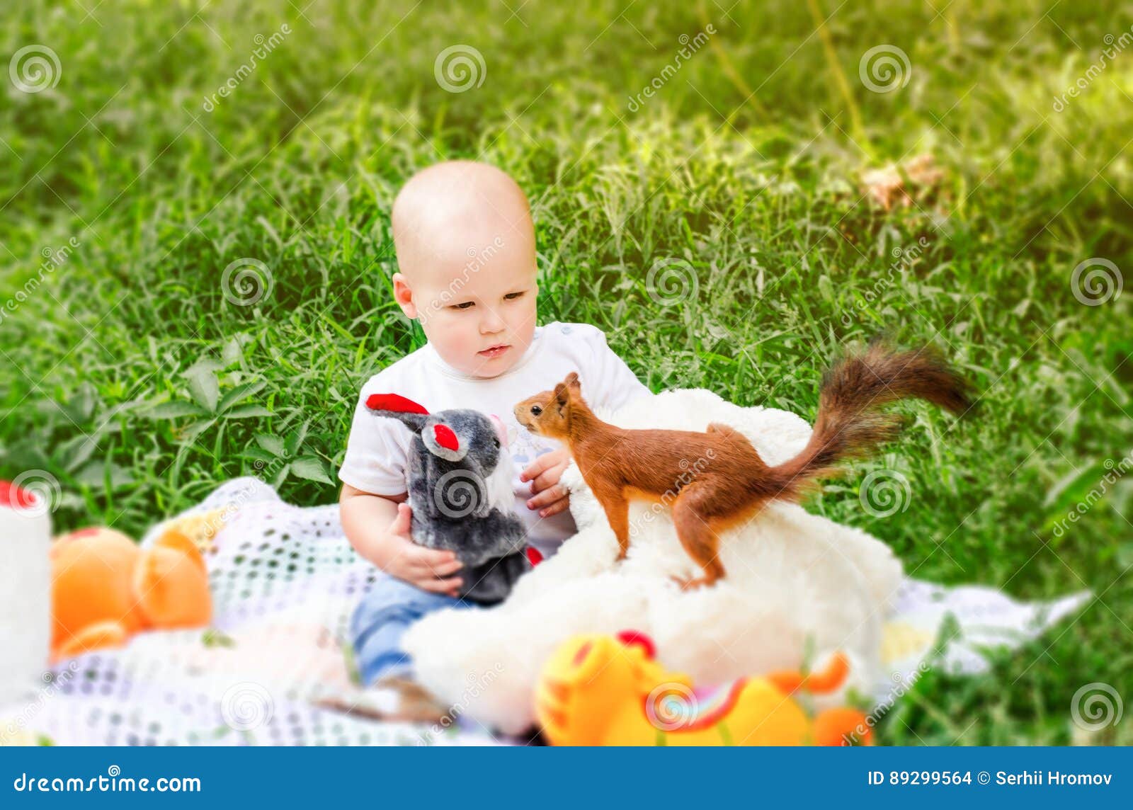 Little Child Spring in the Park Amazedly Looks on Insolent Squirrel ...