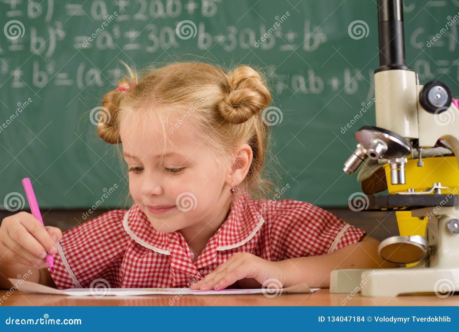 Little Child Study in Science Classroom. Elementary School Girl Work on ...