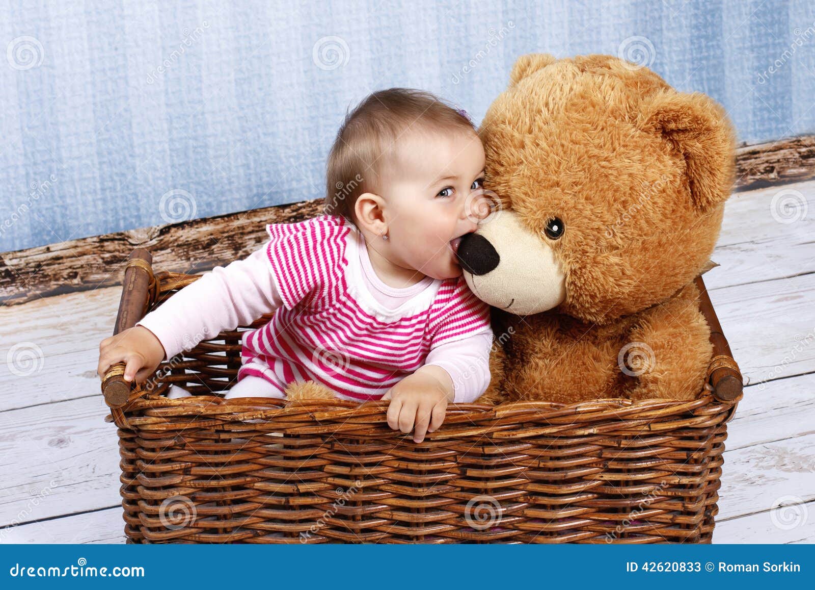 Little Child with Teddy Bear Sitting in the Basket Stock Image - Image ...