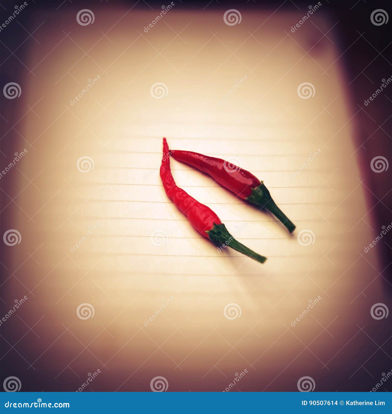 2 little Chilli stock photo. Image of book, little, chilies - 90507614