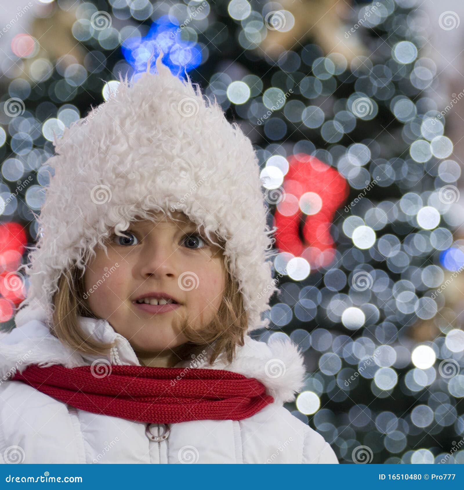 Little Christmas girl stock photo. Image of little, looking - 16510480