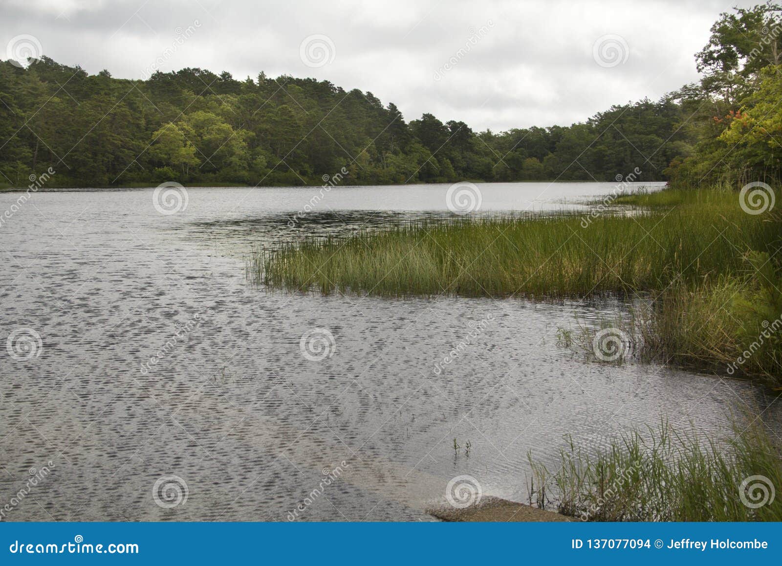 Little Cliff Pond in Nickerson State Park on Cape Cod Stock Photo ...