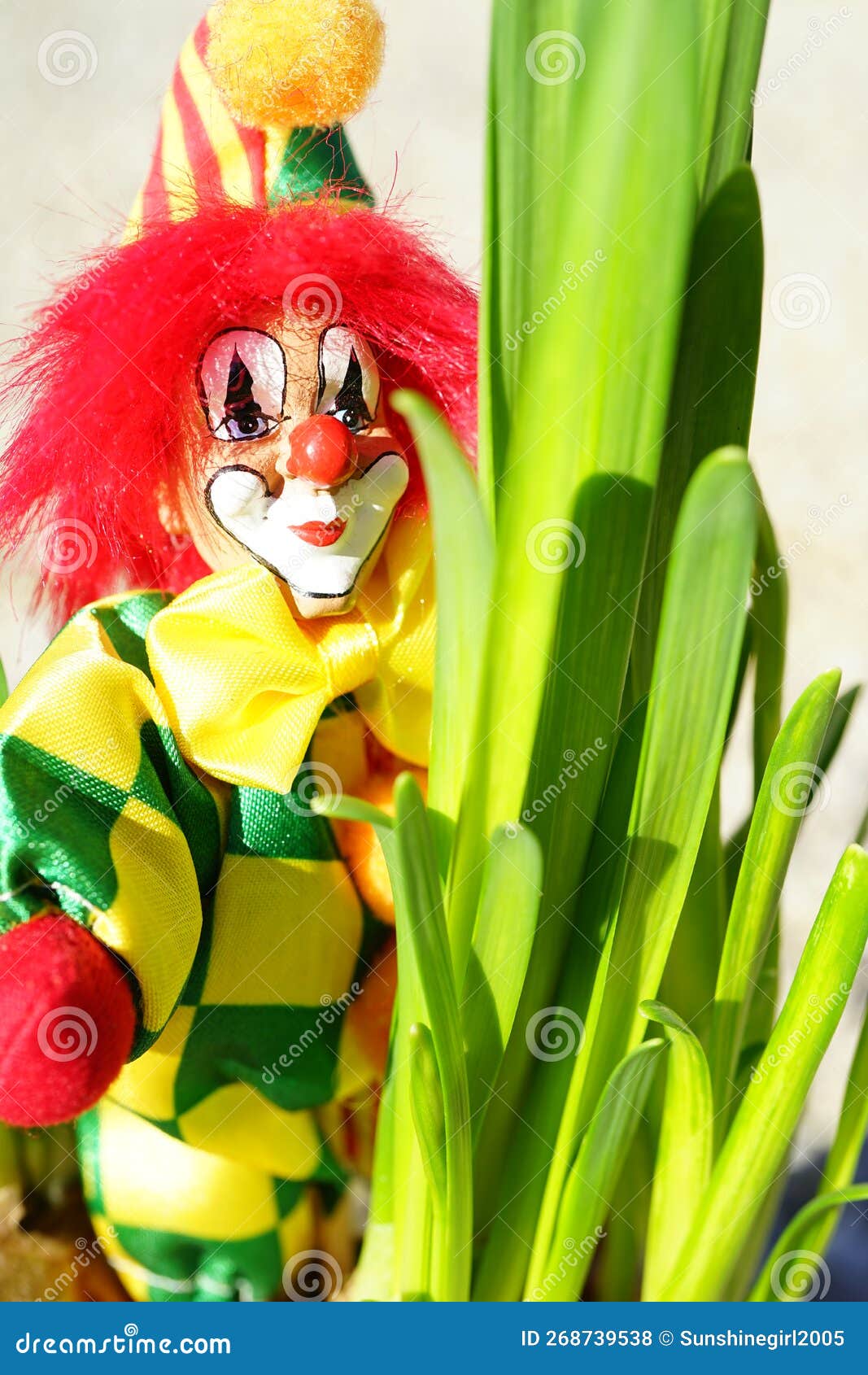 Little Clown Standing between Daffodil Bulbs for Carnaval and Spring ...