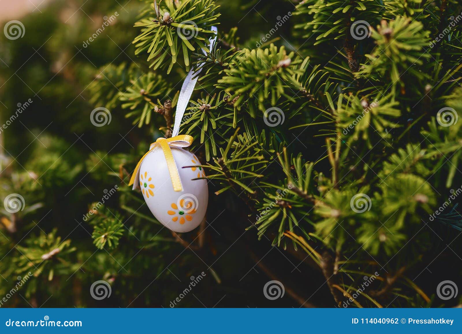 Easter egg on pine branch stock photo. Image of covered - 114040962