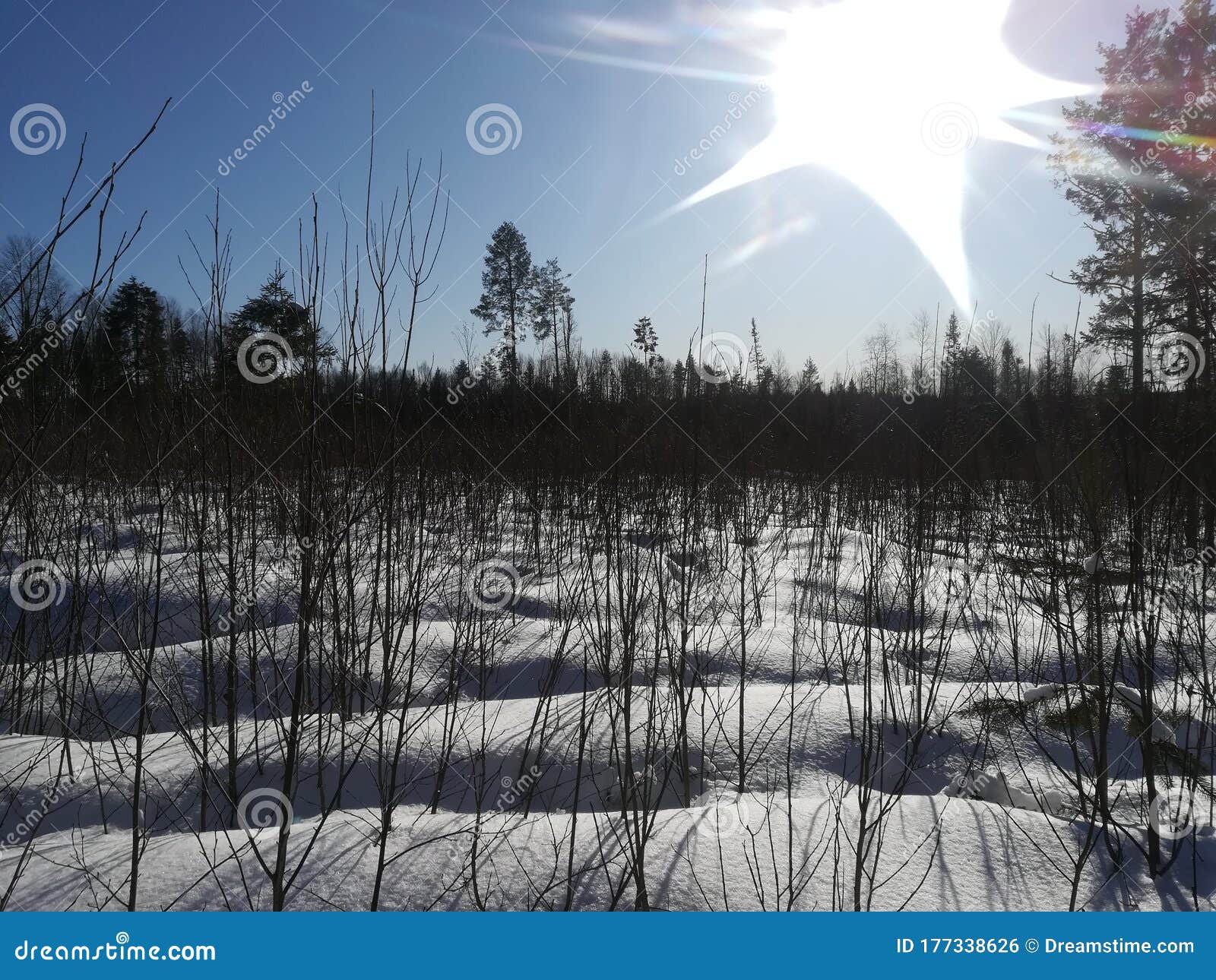 A Little Cool Weather, but the Blinding Sun Warms the Cold Earth Stock ...