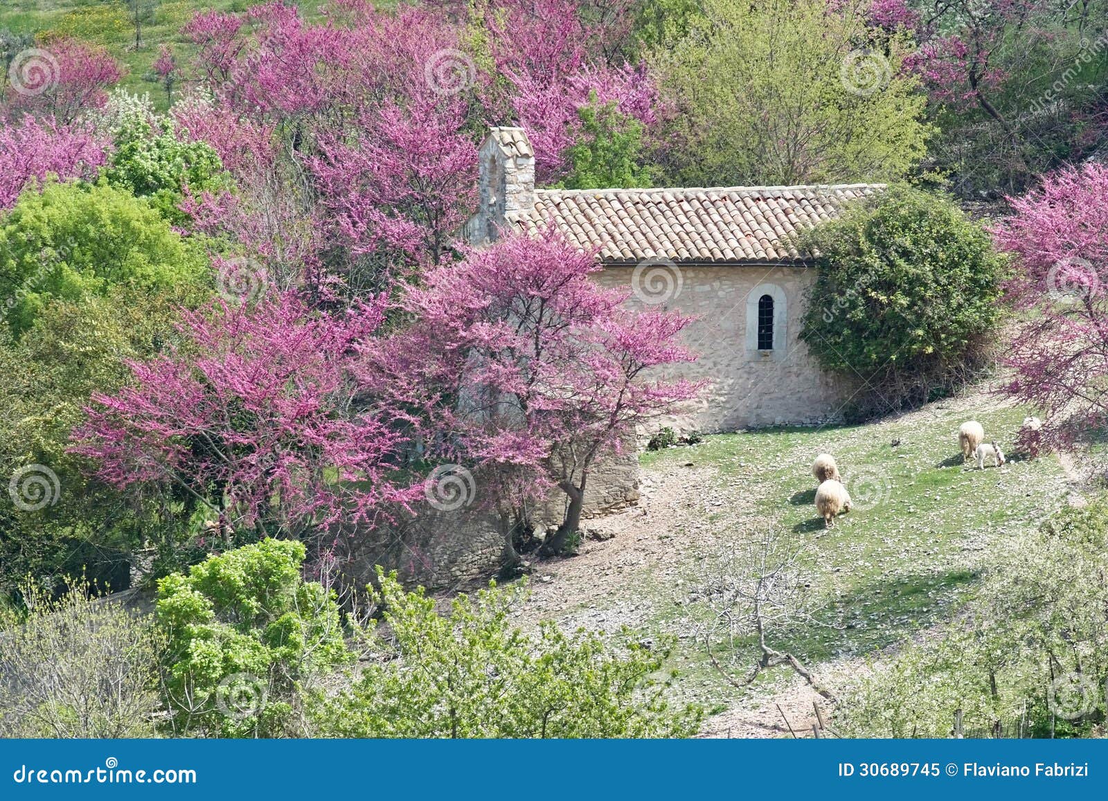 Little Country Church in the Spring Stock Image - Image of countryside ...