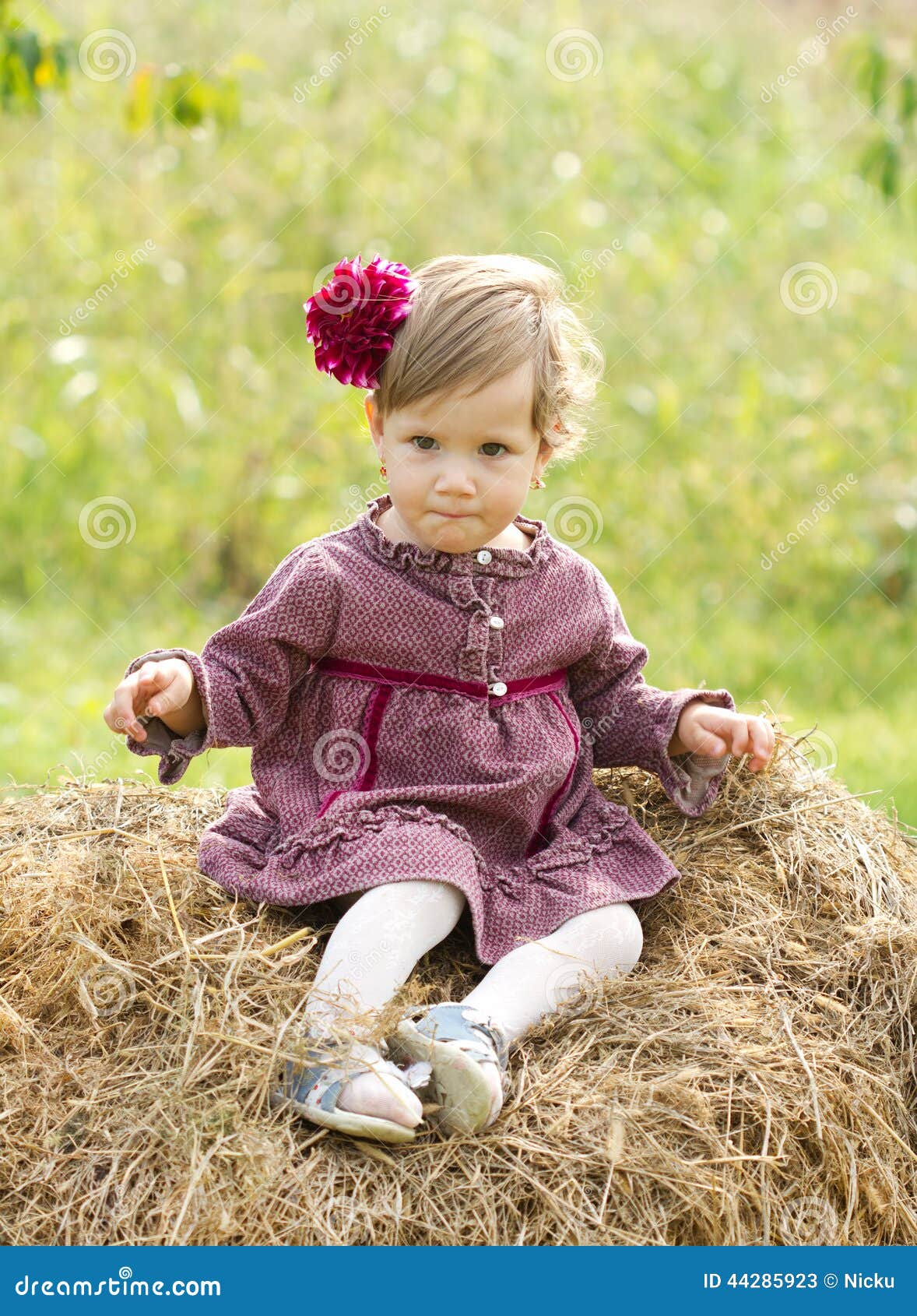 Little country girl stock image. Image of happy, rural - 44285923