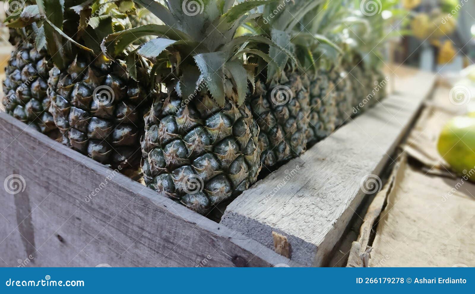 A Little Crate Box of Green Pineapple Stock Photo - Image of crop ...