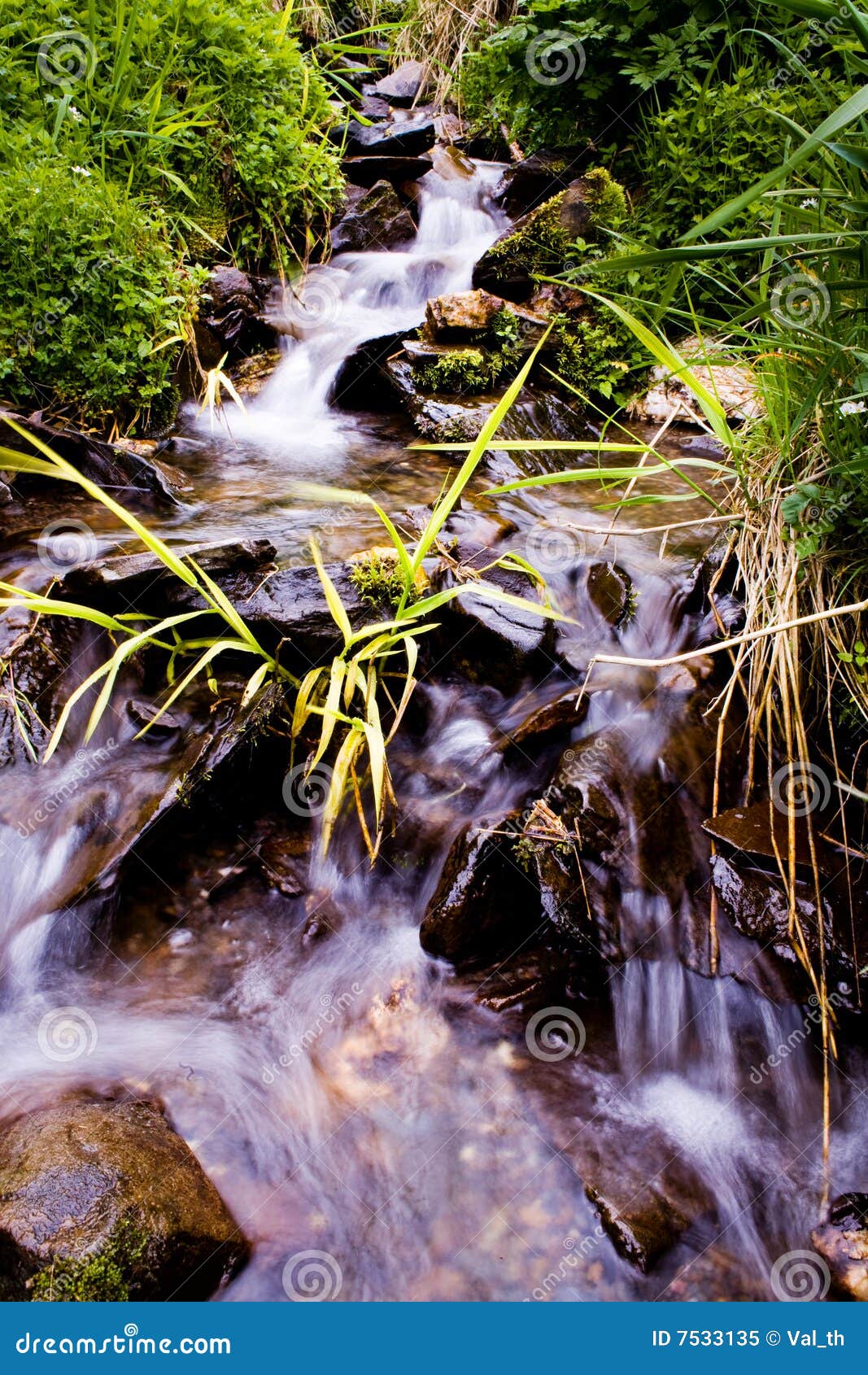 Little creek stock image. Image of outdoors, nature, stream - 7533135
