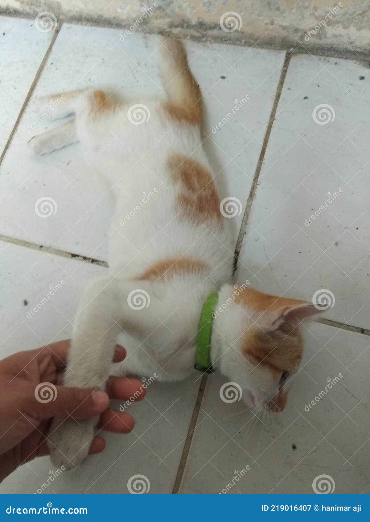 Cumit Stock Photos - Free & Royalty-Free Stock Photos from Dreamstime