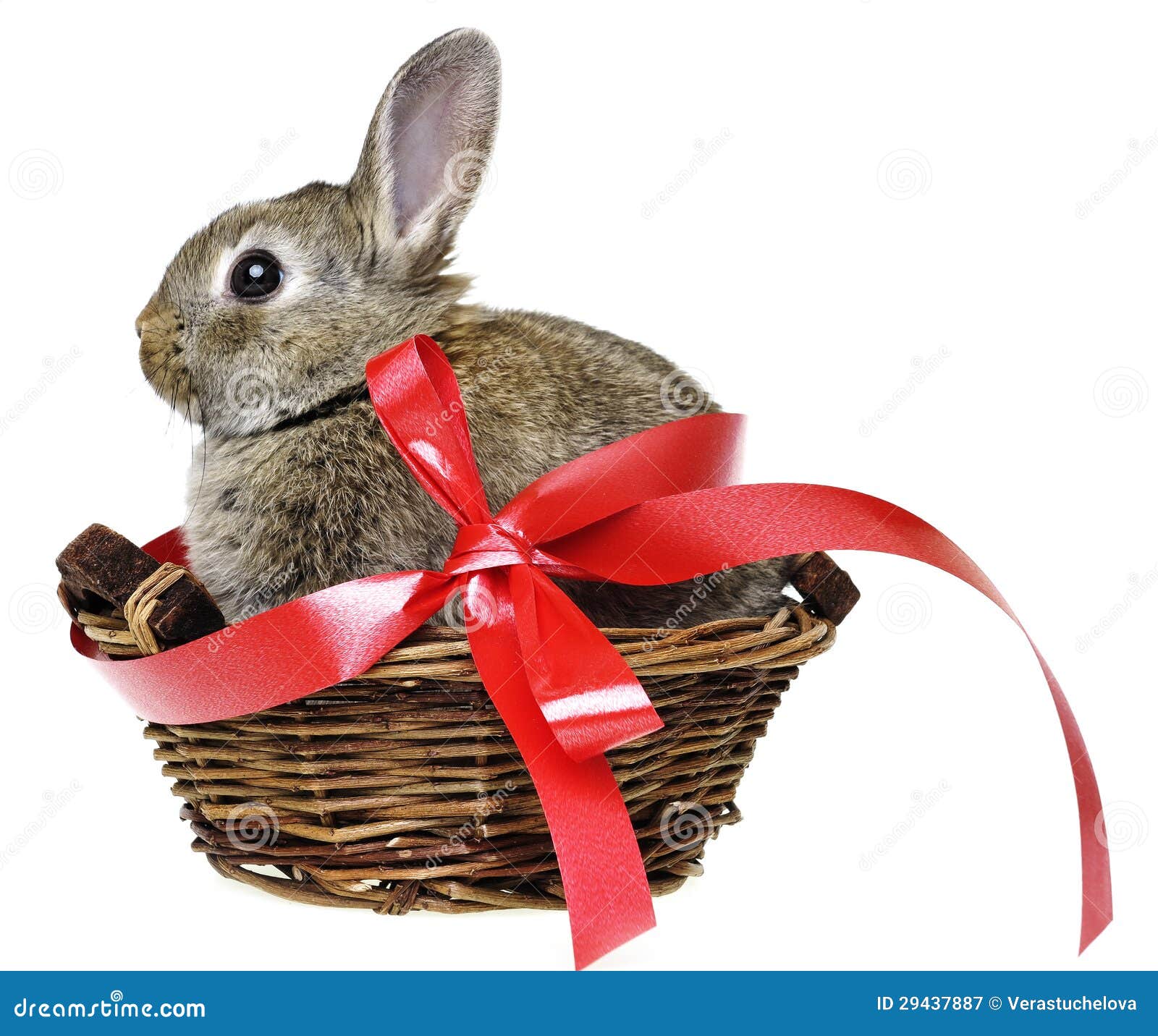 Little Cute Baby Rabbit in a Basket Stock Image - Image of little ...
