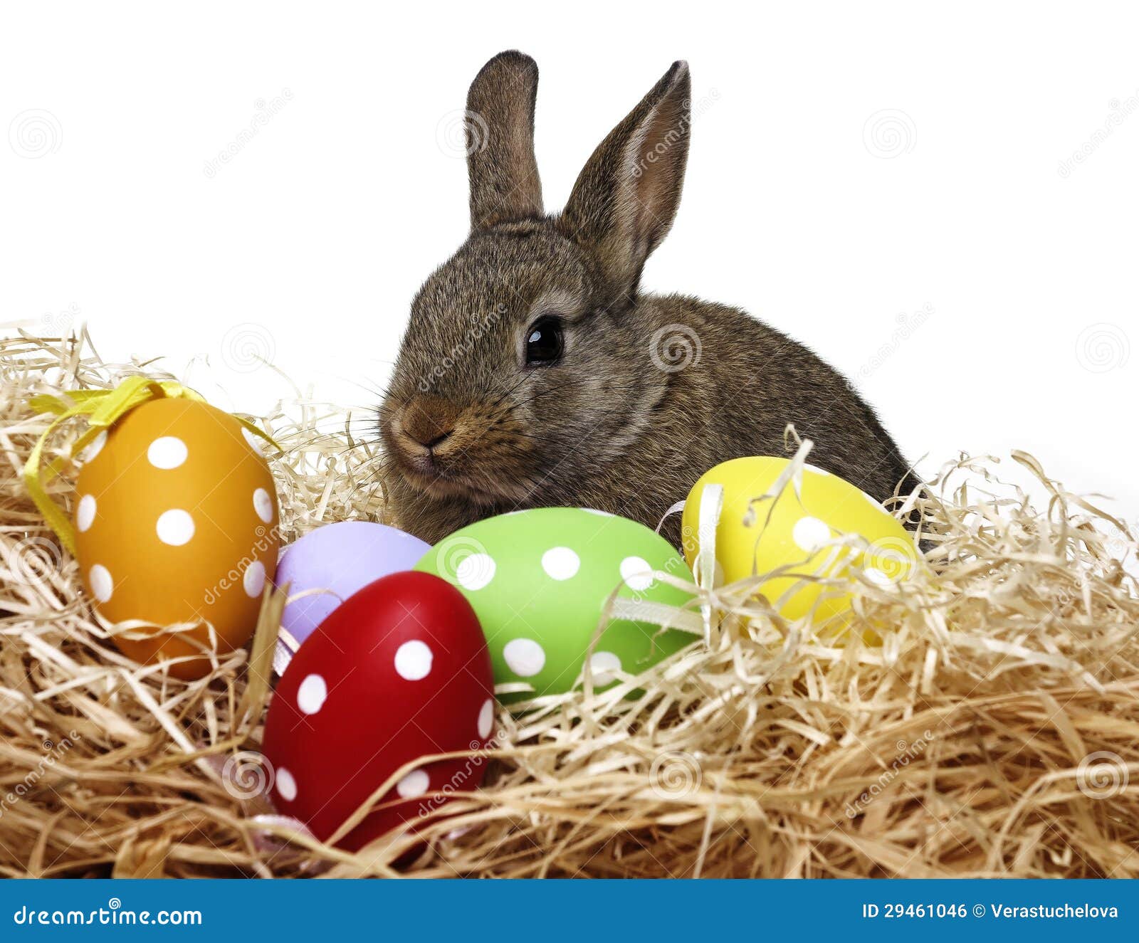 Little Cute Baby Rabbit and Painted Easter Eggs Stock Photo - Image of ...