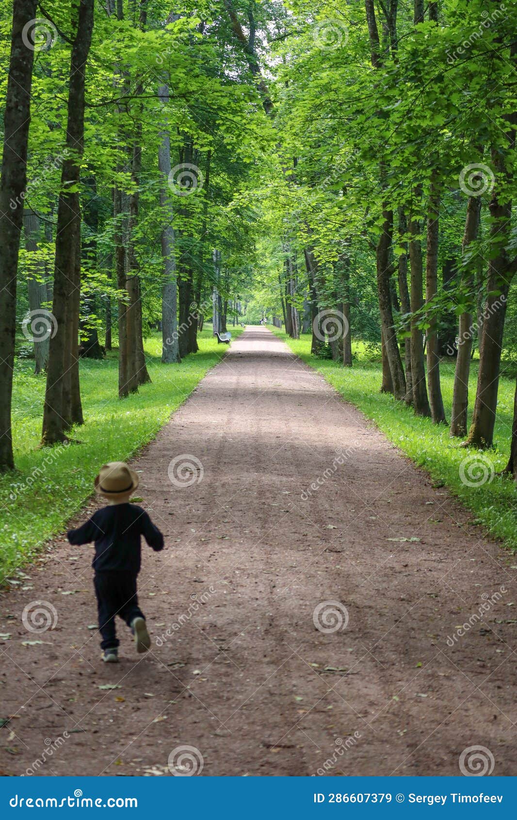 Little Cute Blond Boy in a Hat Walking on a Path in the Green Beautiful ...