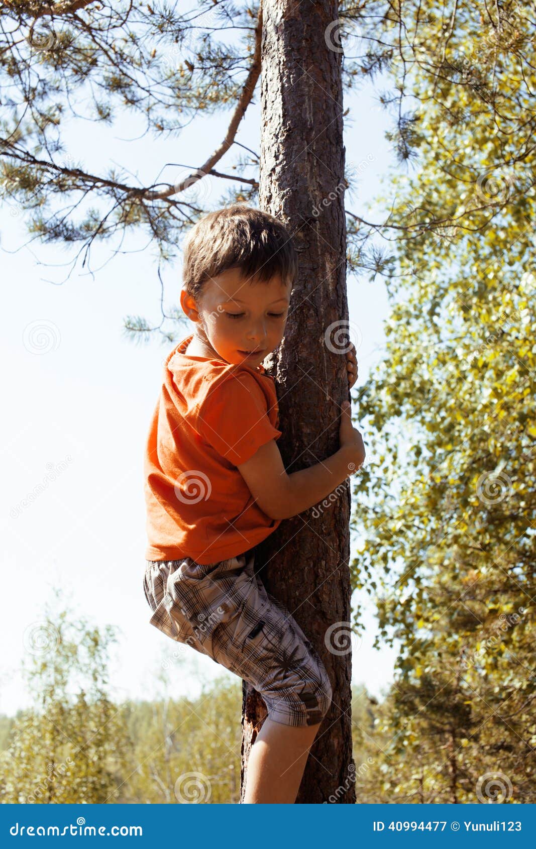 Little Cute Boy Climbing on Tree Stock Image - Image of exercise ...