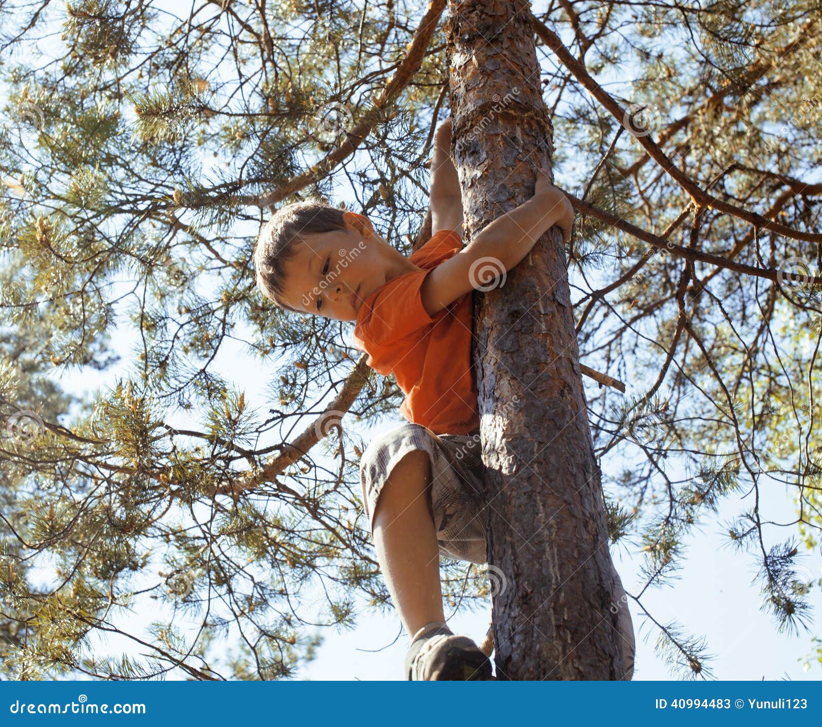 Little Cute Boy Climbing on Tree Stock Image - Image of cheerful, cute ...