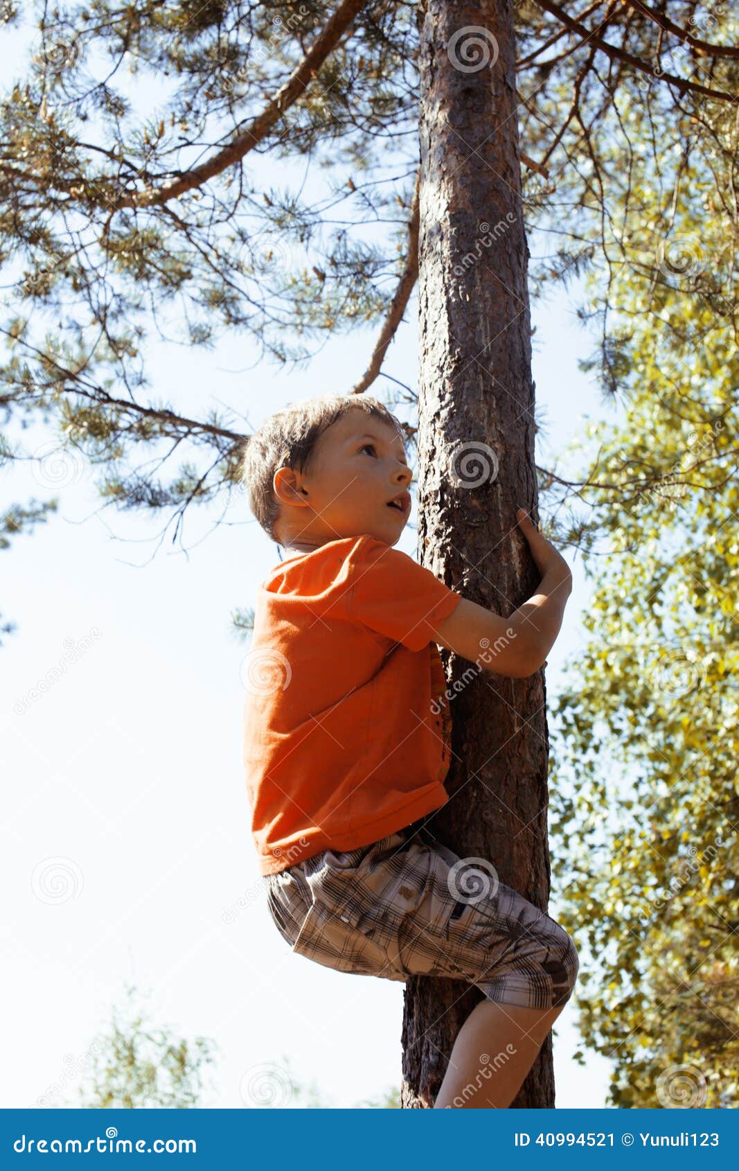 Little Cute Boy Climbing on Tree Stock Image - Image of branch, leisure ...