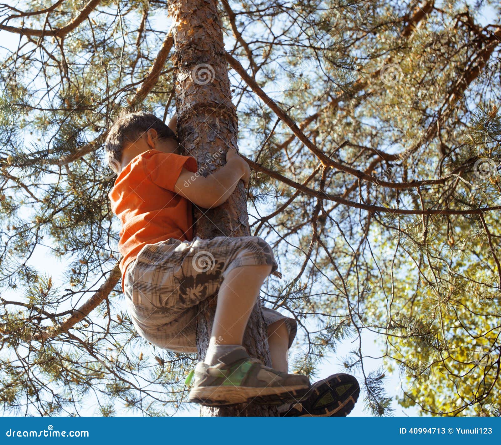 Little Cute Boy Climbing on Tree Stock Image - Image of casual ...