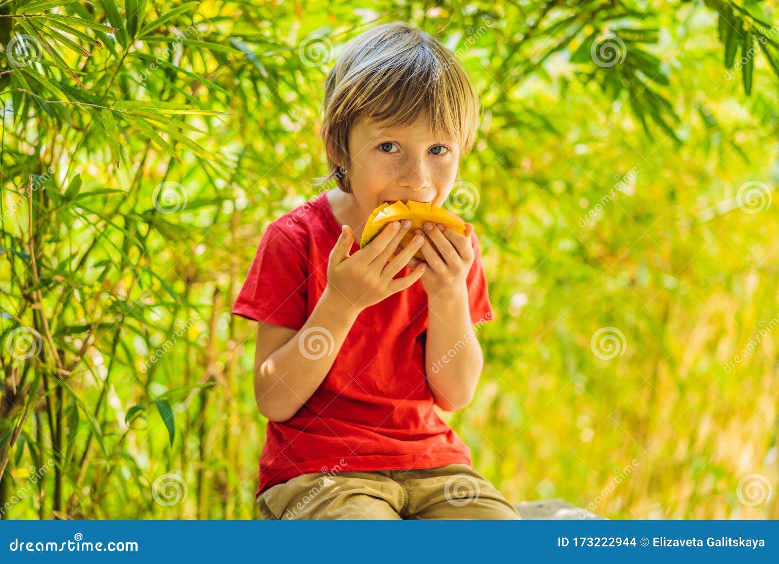 Little Cute Boy Eating Mango on the Terrace Stock Photo - Image of ...