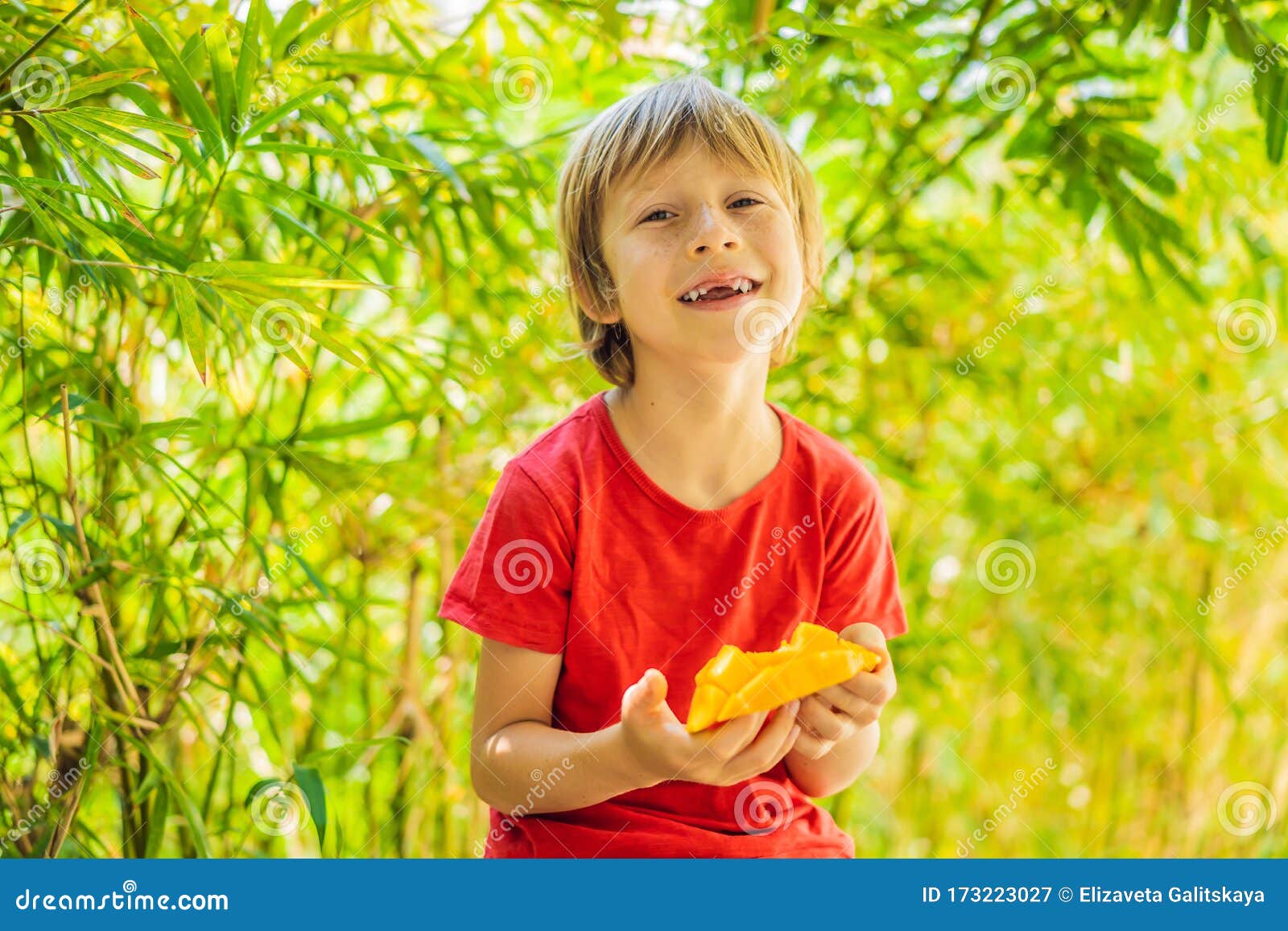 Little Cute Boy Eating Mango on the Terrace Stock Image - Image of ...