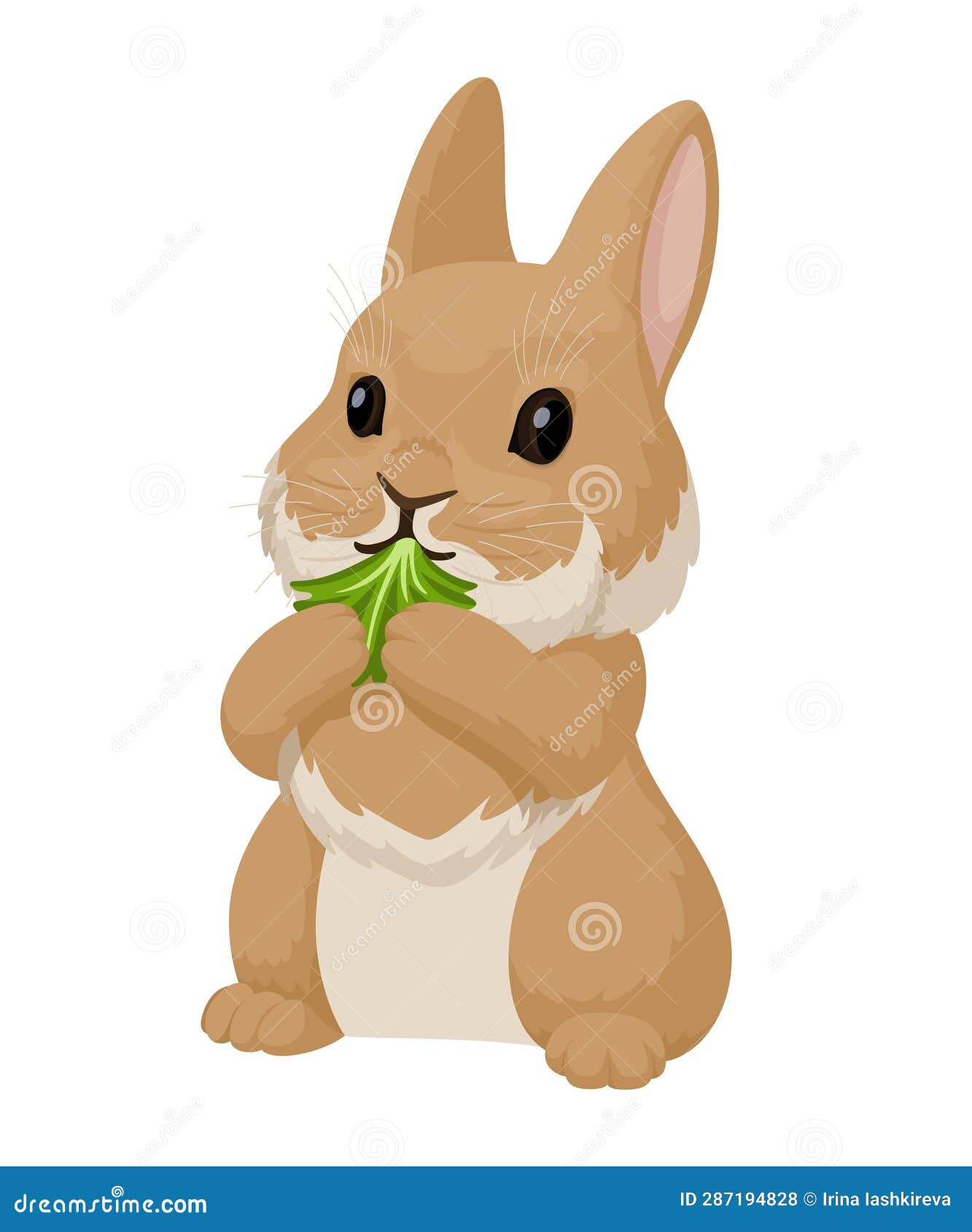 Little Cute Bunny Eats a Lettuce Leaf, Holding it with Its Front Paws ...