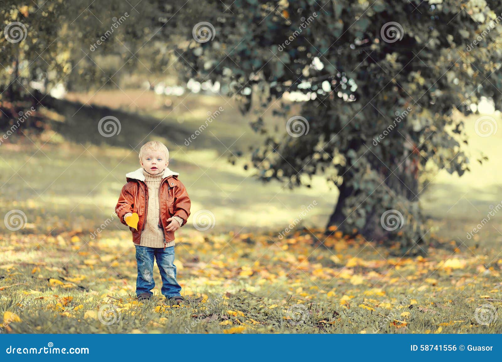 Little Cute Child with Yellow a Leaf of the Tree in the Autumn Stock ...