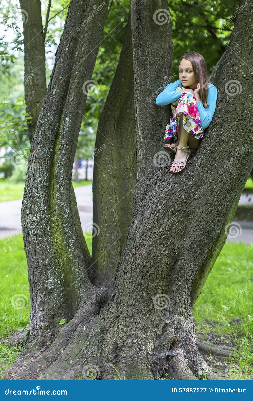 Little Cute Girl Sitting on a Tree. Nature. Stock Image - Image of ...
