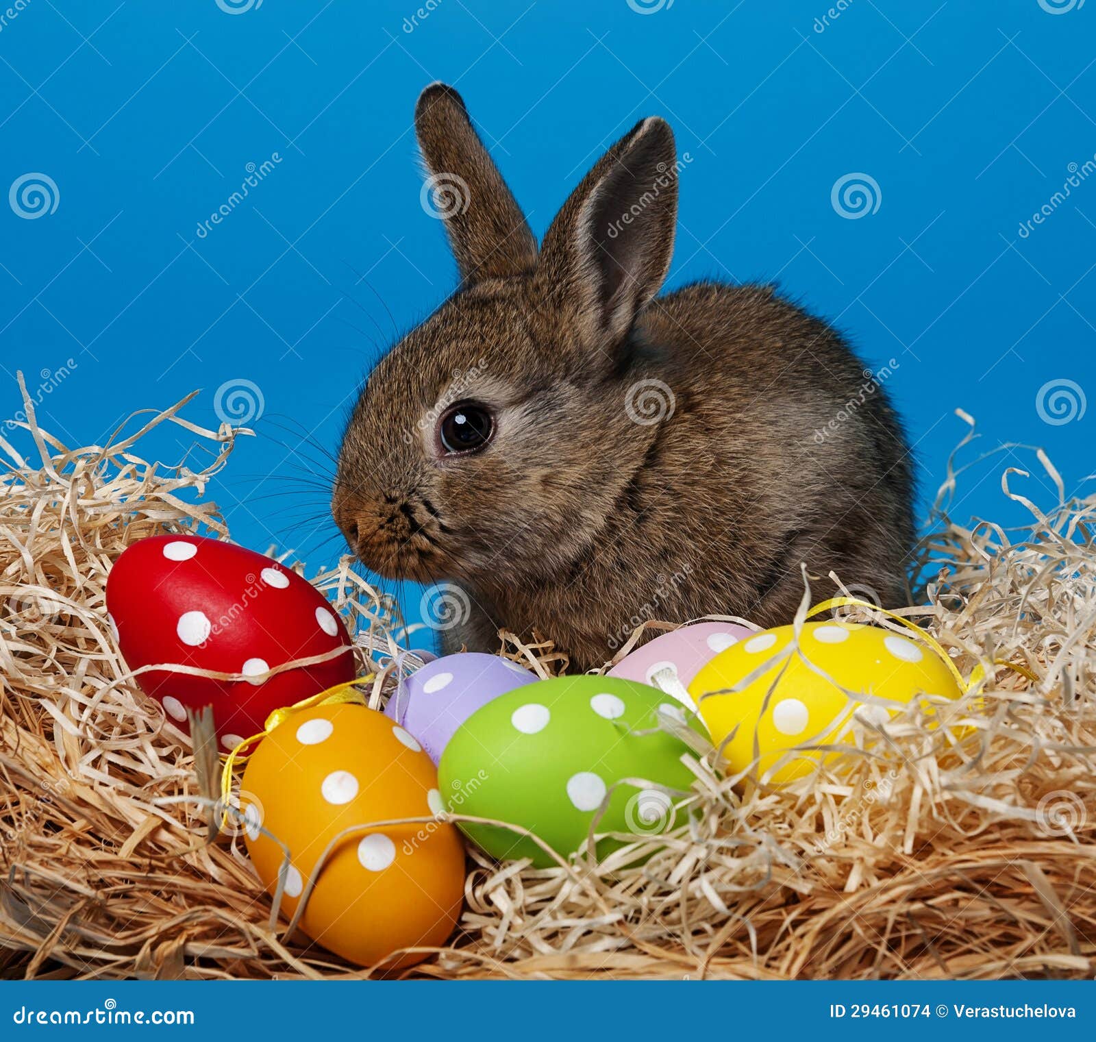 Little Cute Rabbit and Easter Eggs Stock Photo - Image of hare ...