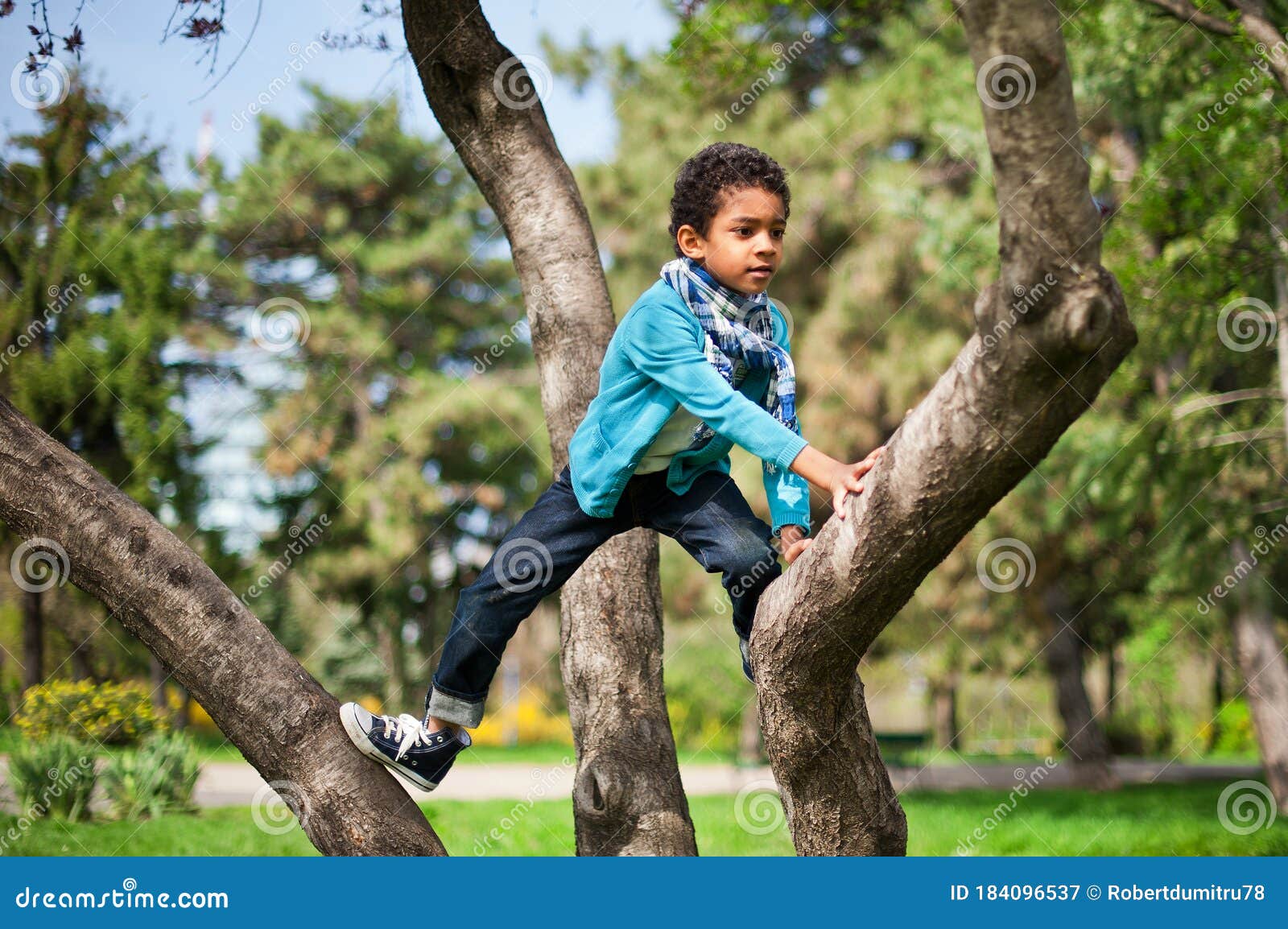 Little Cute Real Black Boy Climbing on Tree Height Stock Image - Image ... Little Cute Real Black Boy Climbing on Tree Height Stock Image - Image ...