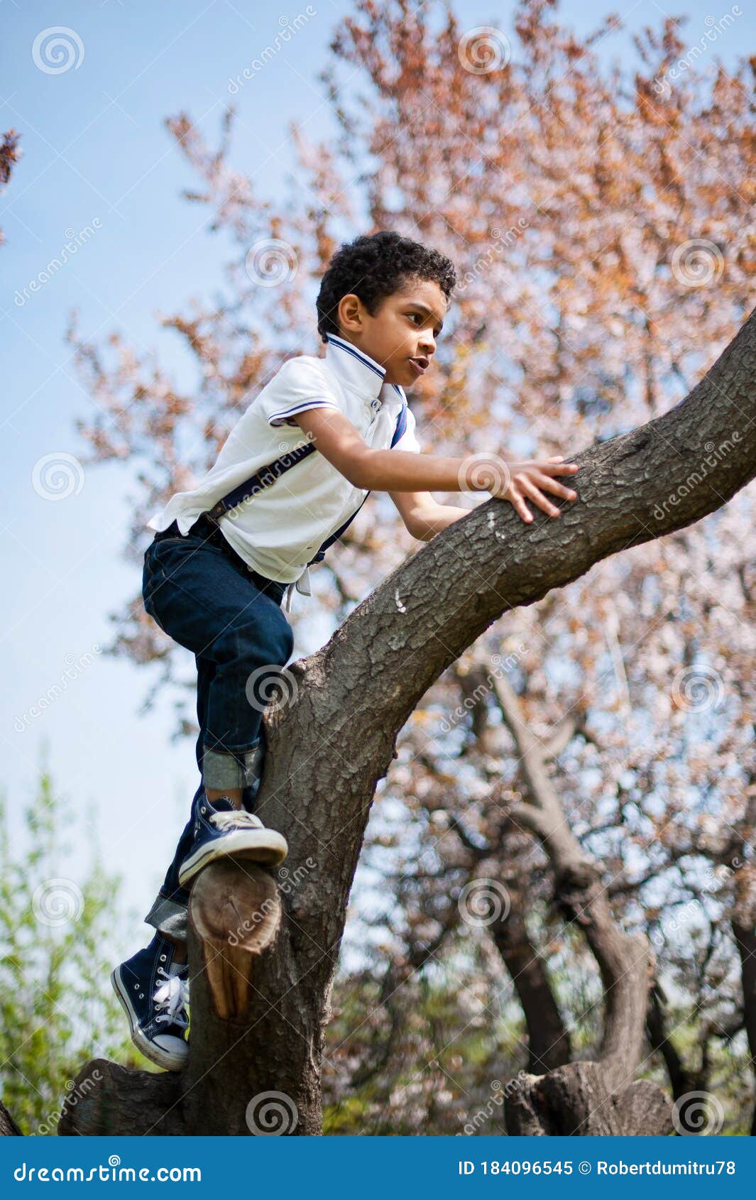 Little Cute Real Black Boy Climbing on Tree Stock Image - Image of ... Little Cute Real Black Boy Climbing on Tree Stock Image - Image of ...