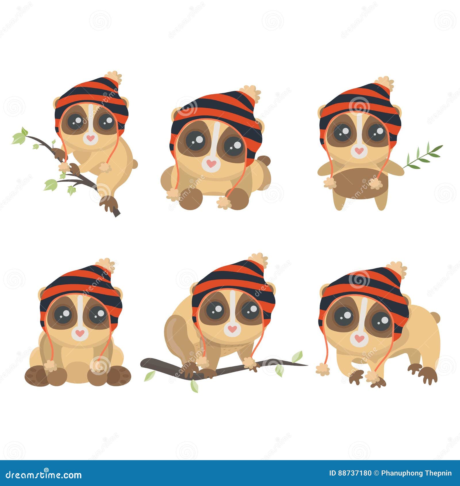 Cute Loris Sitting. Flat Vector Illustration With Outline, Isolated On ...