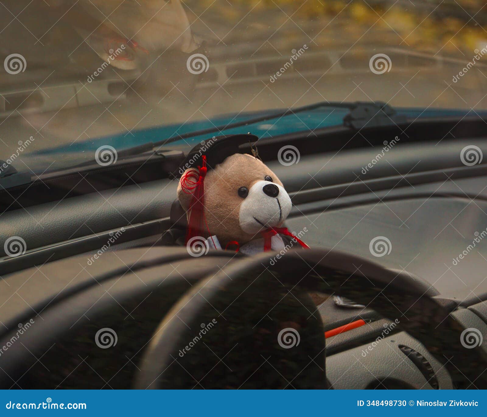 Little Cute Teddy Bear Toy in the Car Stock Photo - Image of wheel ...