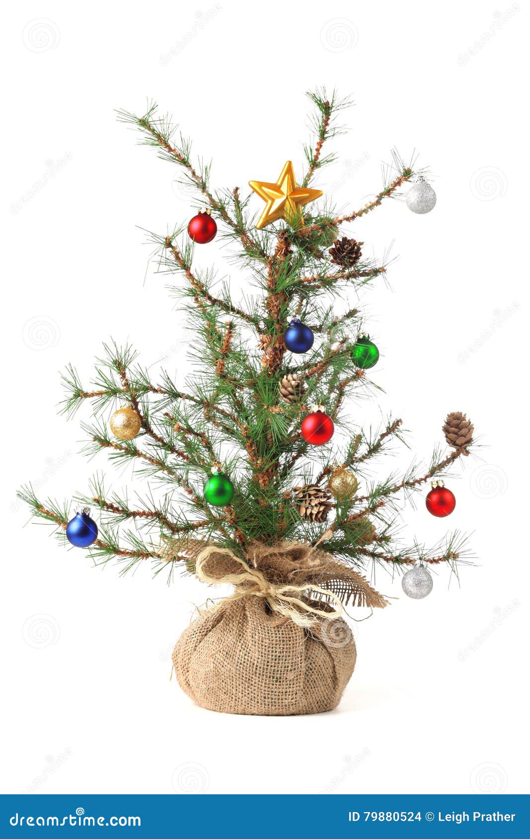 Little Decorated Christmas Tree Stock Photo - Image of decorate ...