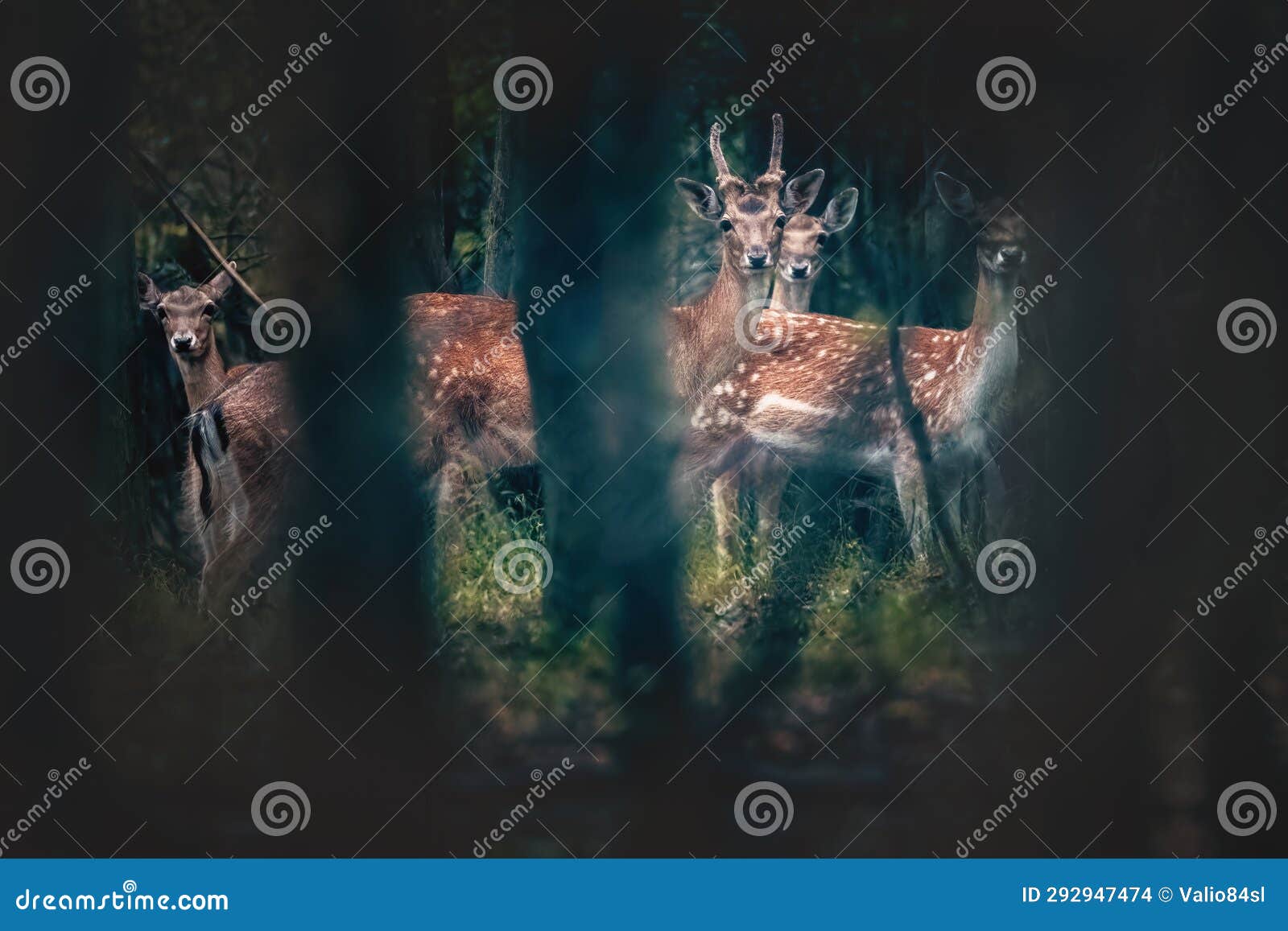 Little Deer, Young Roe Deer, Hind in a Mystic Forest Stock Photo ...