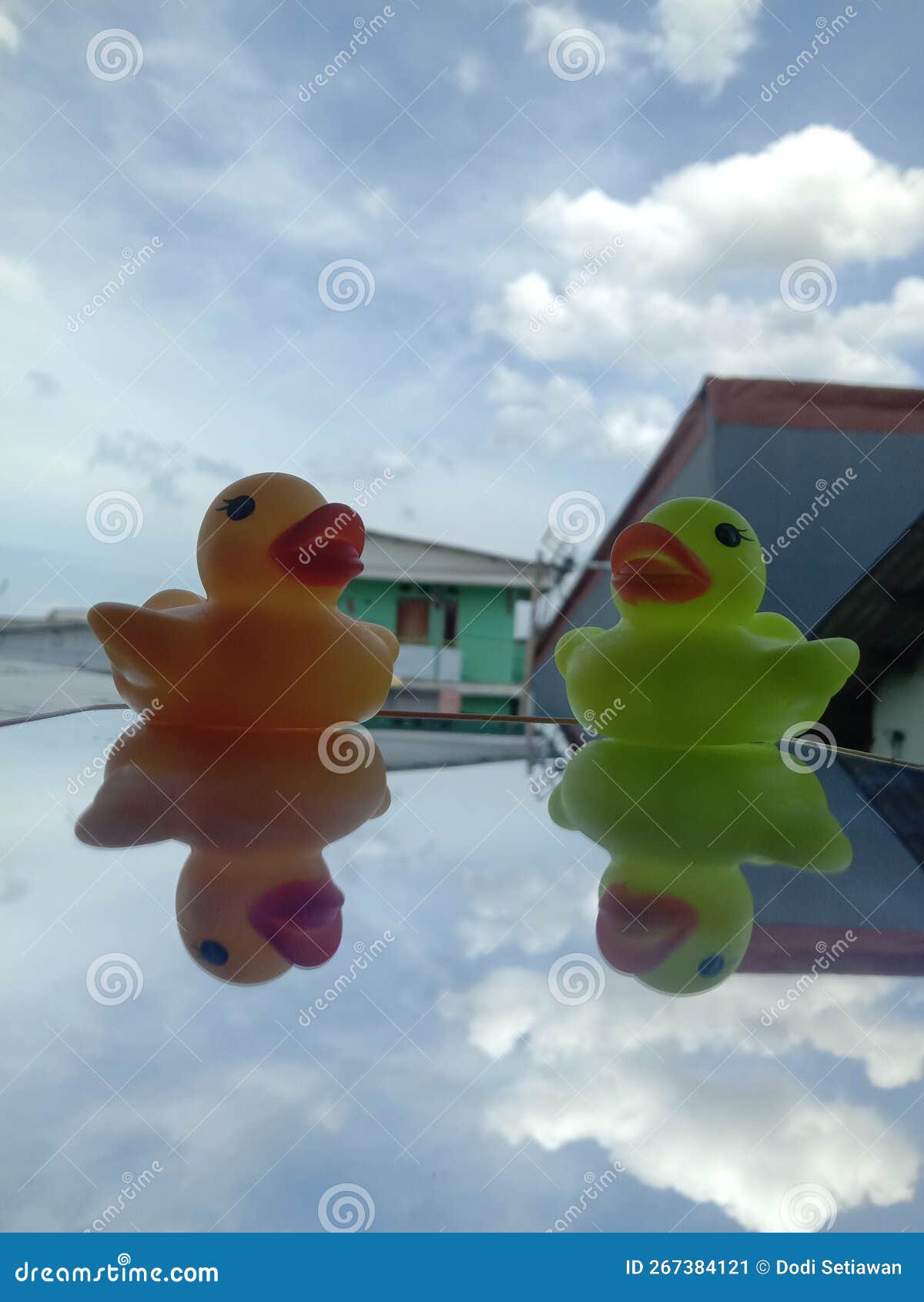 Little duck on the cloud stock image. Image of beak - 267384121