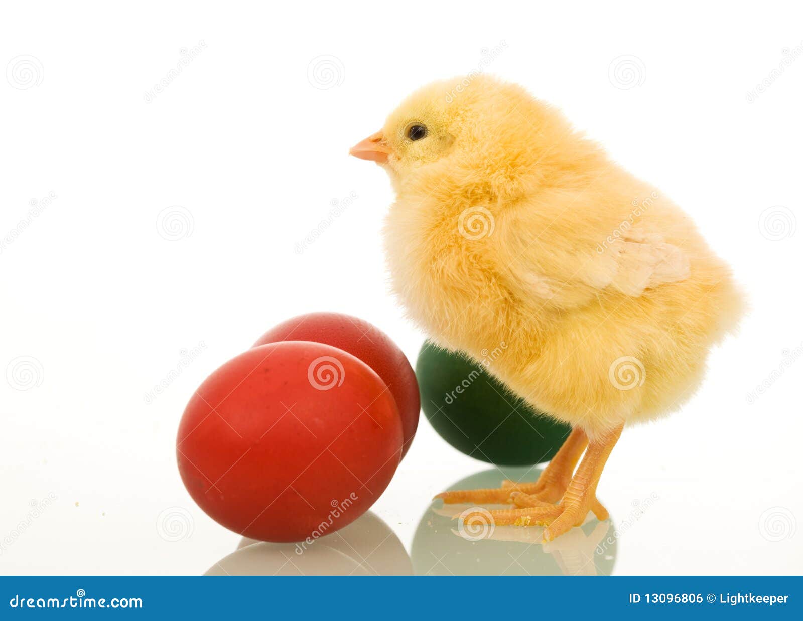 Little Easter Chicken with Dyed Eggs Stock Photo - Image of reflective ...