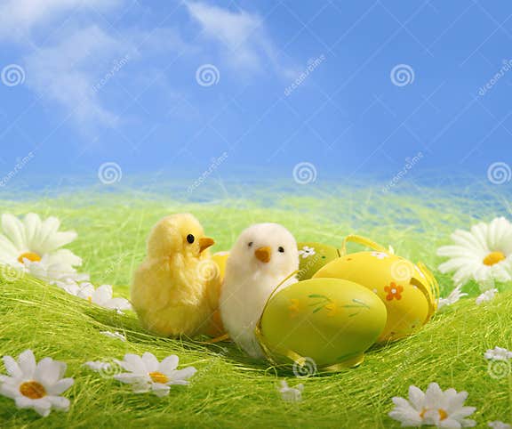 Little Easter chicks stock image. Image of easter, decorative - 8408387