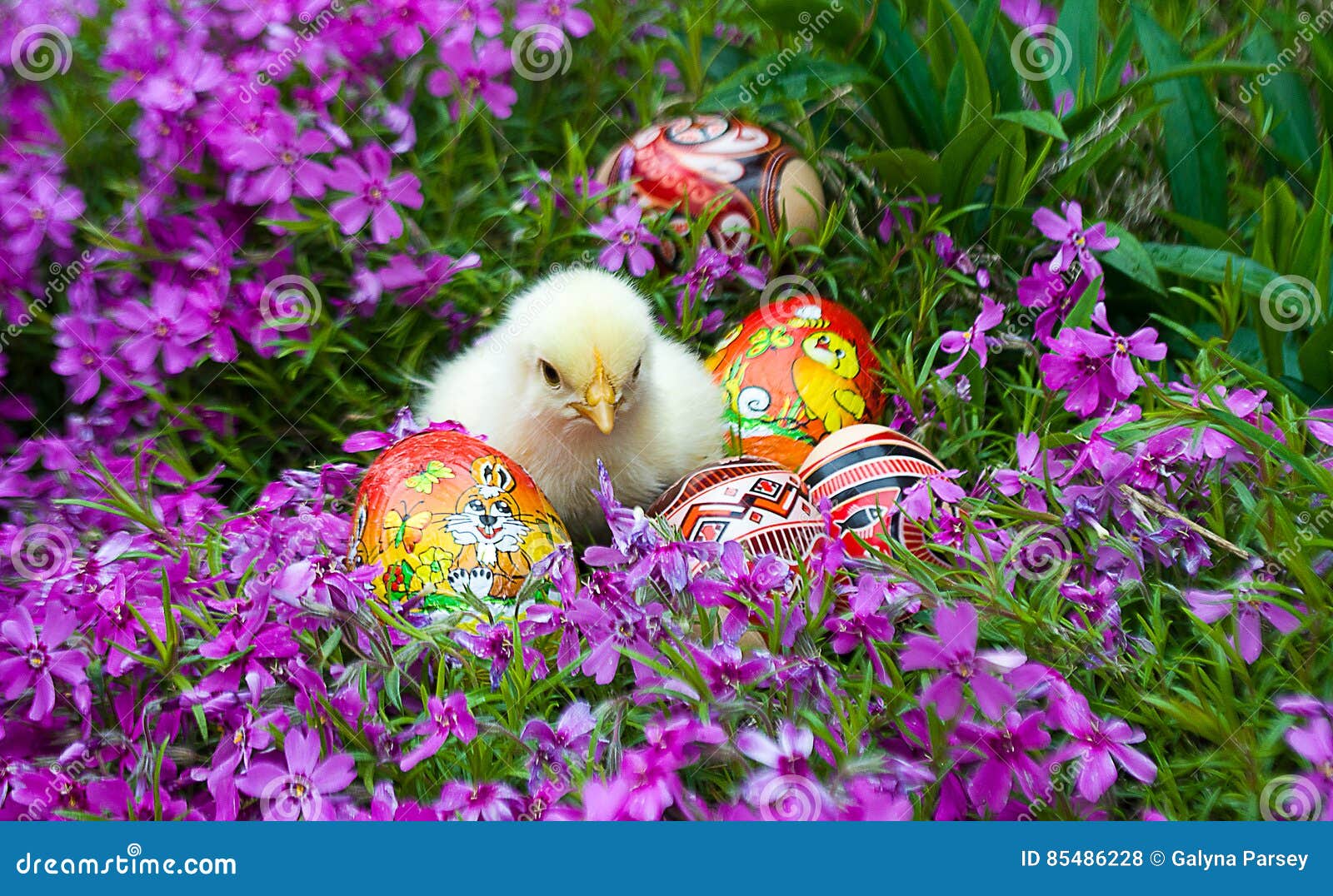 Little Easter Chicks on Grass Stock Photo - Image of funny, animal ...