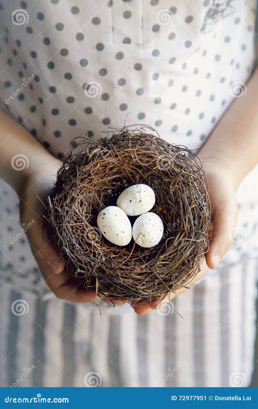 Little eggs stock image. Image of three, eggs, delicacy - 72977951