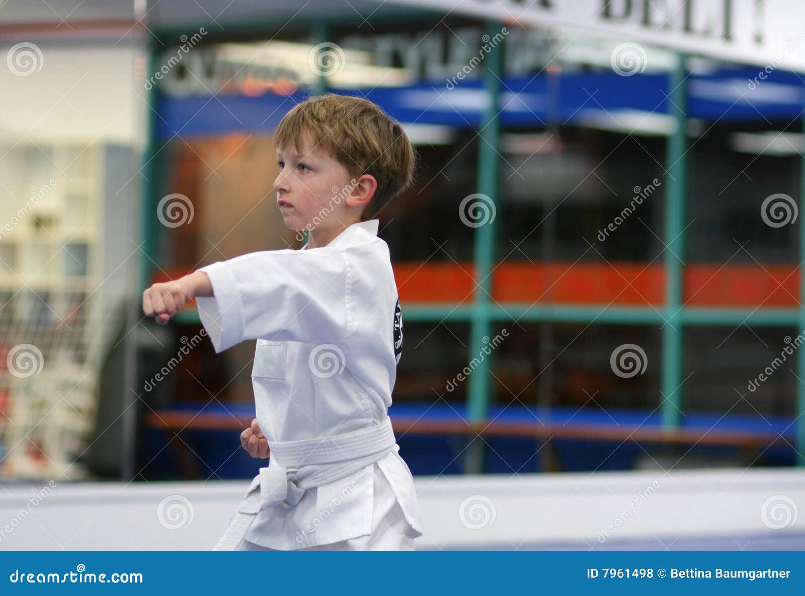 Little fighter stock photo. Image of concentrated, concentration - 7961498