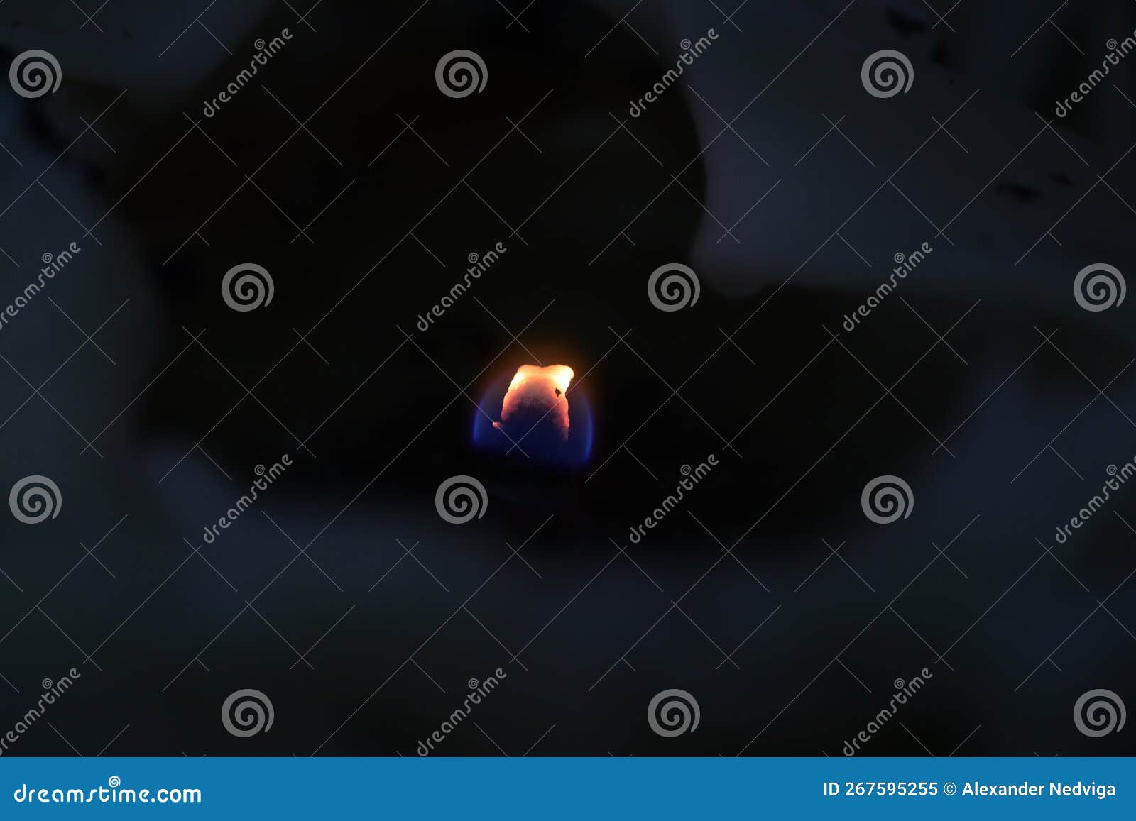 Little Red Fire Ant Royalty-Free Stock Photo | CartoonDealer.com #258579273