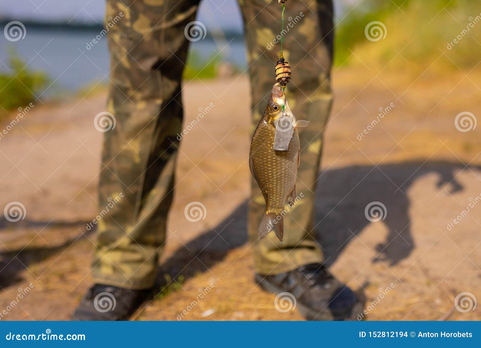 Little fish on a hook stock photo. Image of wild, river - 152812194